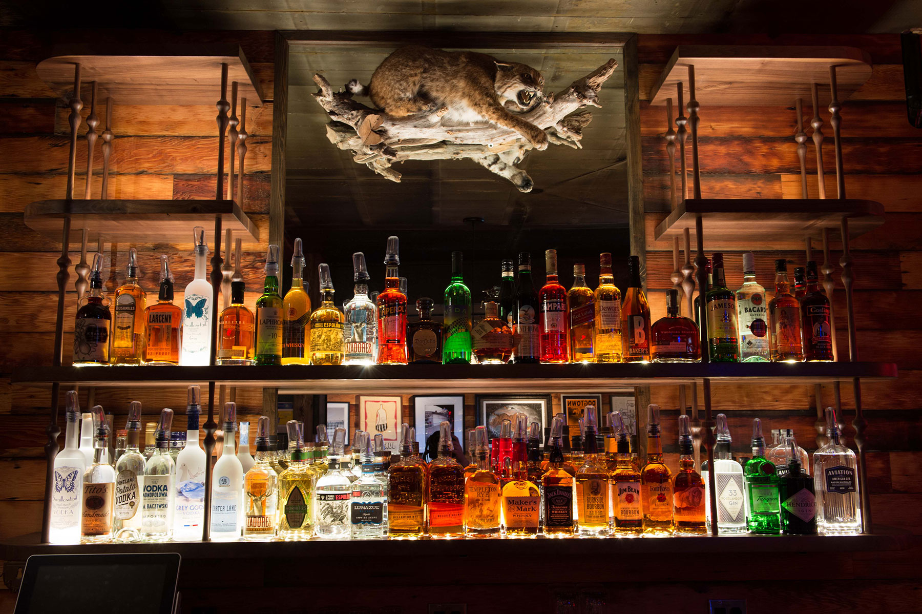 about - Cat's Paw Saloon