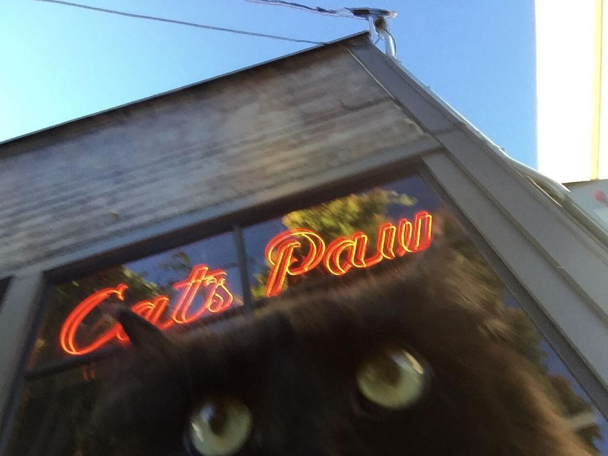 about - Cat's Paw Saloon